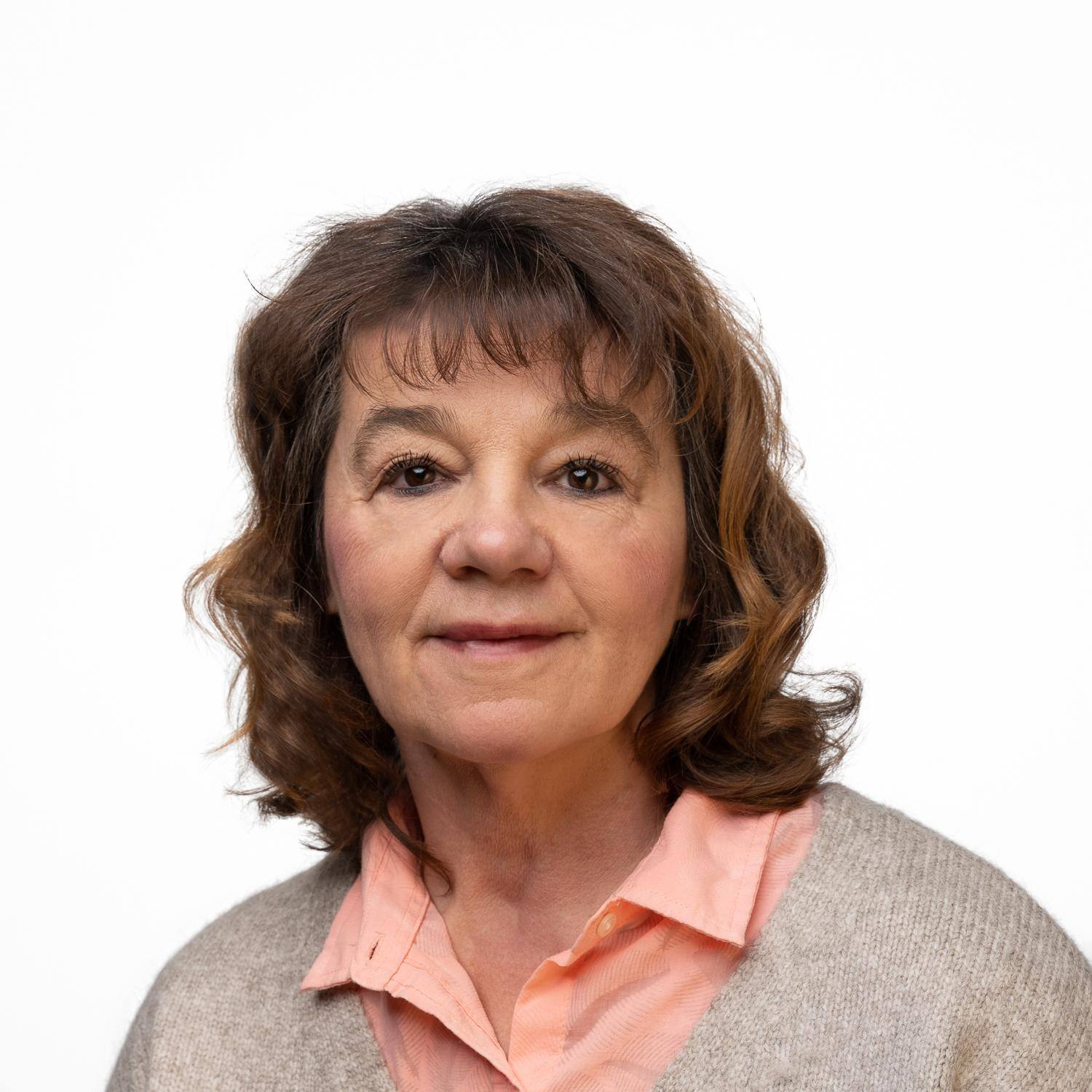 Meet the WD Co-Auto Team | WD Co-Auto